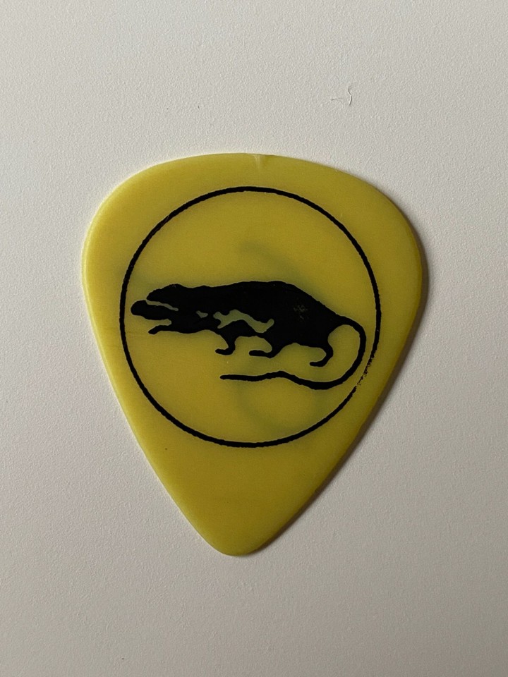 Pearl Jam Stone Gossard Guitar Pick - Signature / Rat - 1993 Tour ...