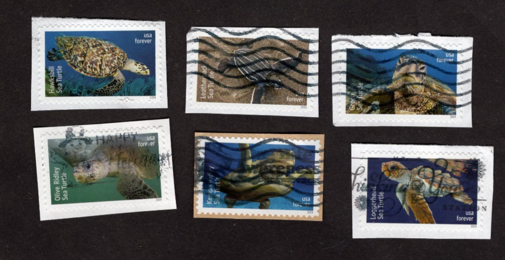 #5865-70 Protect Sea Turtles Se-Tenent Set of 6 Stamps, Used, Forever ...