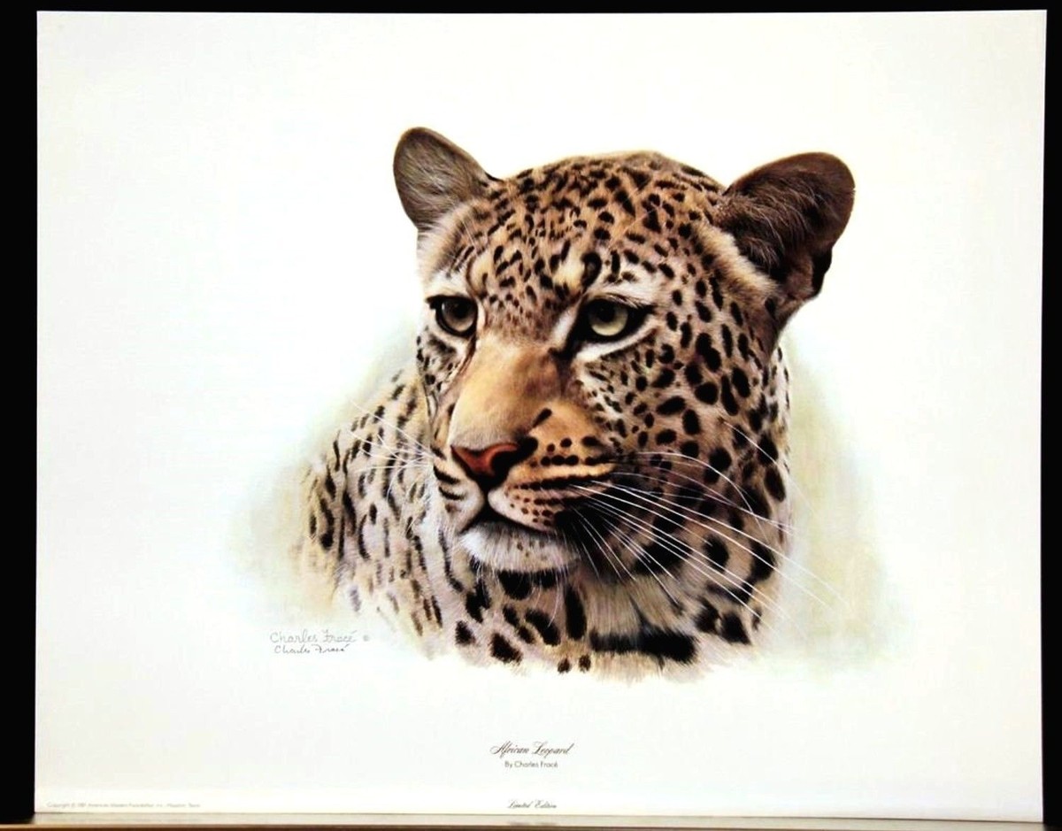 Charles Frace African Leopard Charles Frace | Charles Frace, Tiger