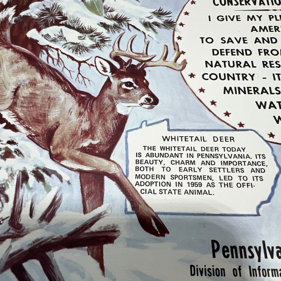 RARE HTF Vtg Pennsylvania Game Commission Poster Official Wildlife Bird ...