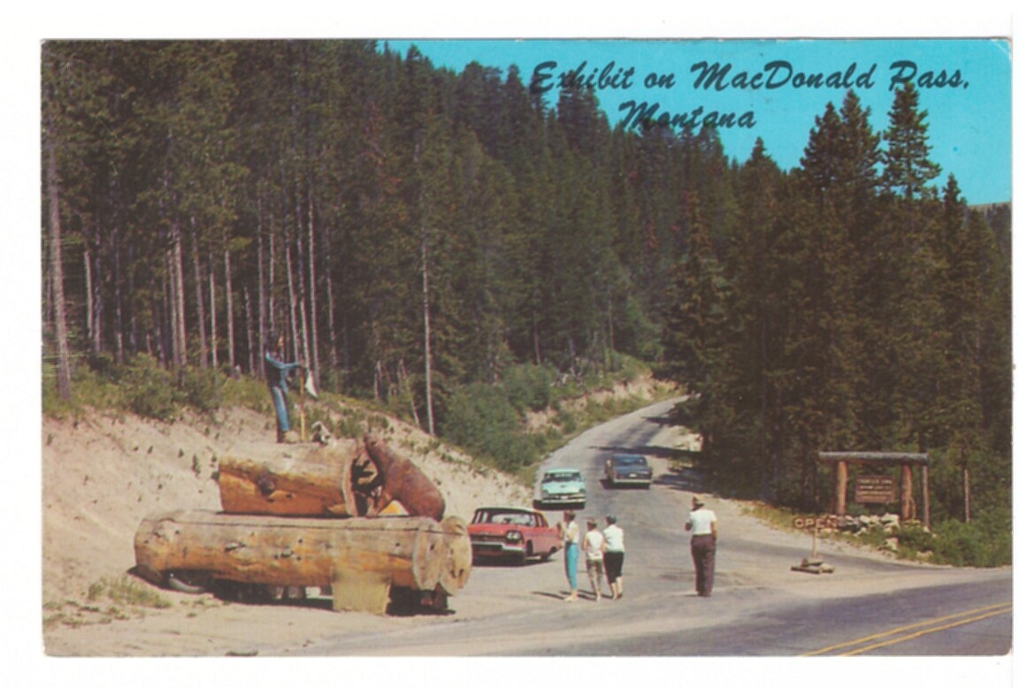 Mechanical Exhibit Bear Lumberjack Dog MacDonald Pass Montana Postcard ...