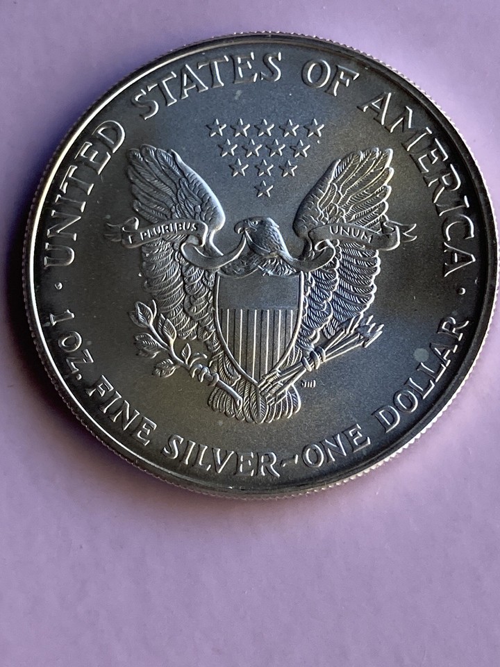 2004 American Eagle Silver Dollar - One Troy Ounce - Uncirculated ...