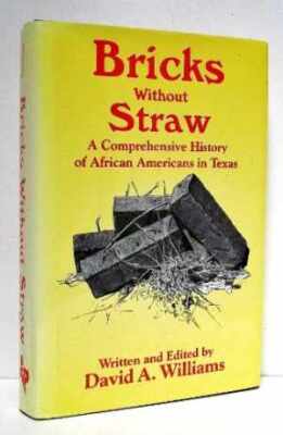 Bricks Without Straw: A Comprehensive - Hardcover, by Williams David A ...