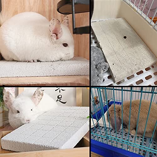 Rabbit Scratch Foot Pads 2Pack Bunny Grinding Claw Pad Small Animals ...