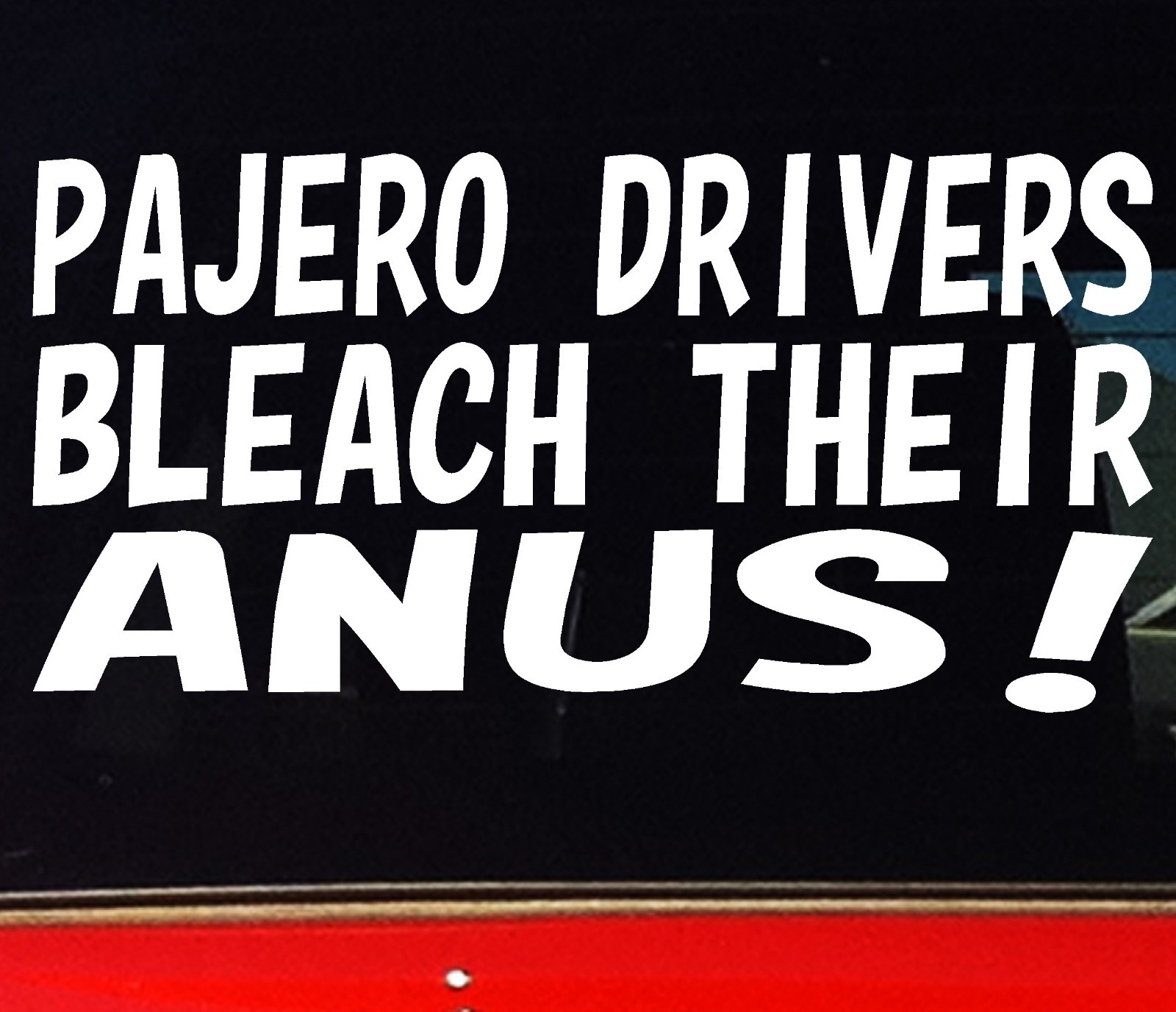 Funny 4x4 Stickers for Toyota Nissan Ute GU GQ BLEACH 200mm | eBay ...