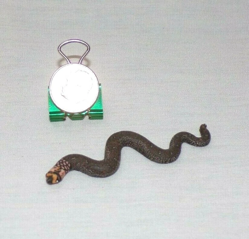 Clay Snake Head