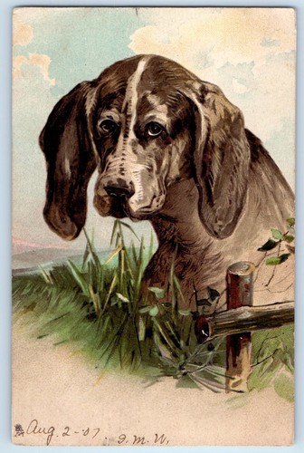 1907 Spaniel Dog Art Tuck Embossed Quincy Illinois IL Antique Posted ...