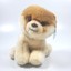 GUND+Boo+World%27s+Cutest+Dog+Stuffed+Plush+4029715+Pomeranian for sale ...