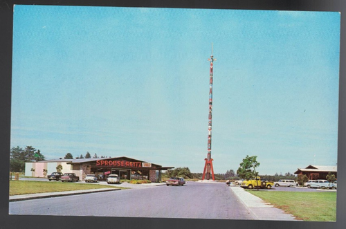 PC-4230**Vtg. PC **World's Largest Totem Pole** McKinleyville ...