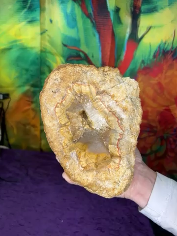 7” Large Geode Yellow Red Orange Chalcedony Agate Lapidary Rough 7.9Lb ...