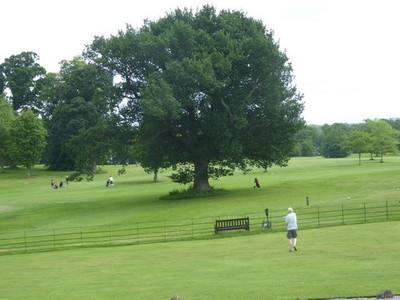 Photo A2 Ross Priory Golf Course Gartocharn With parkland trees on the ...