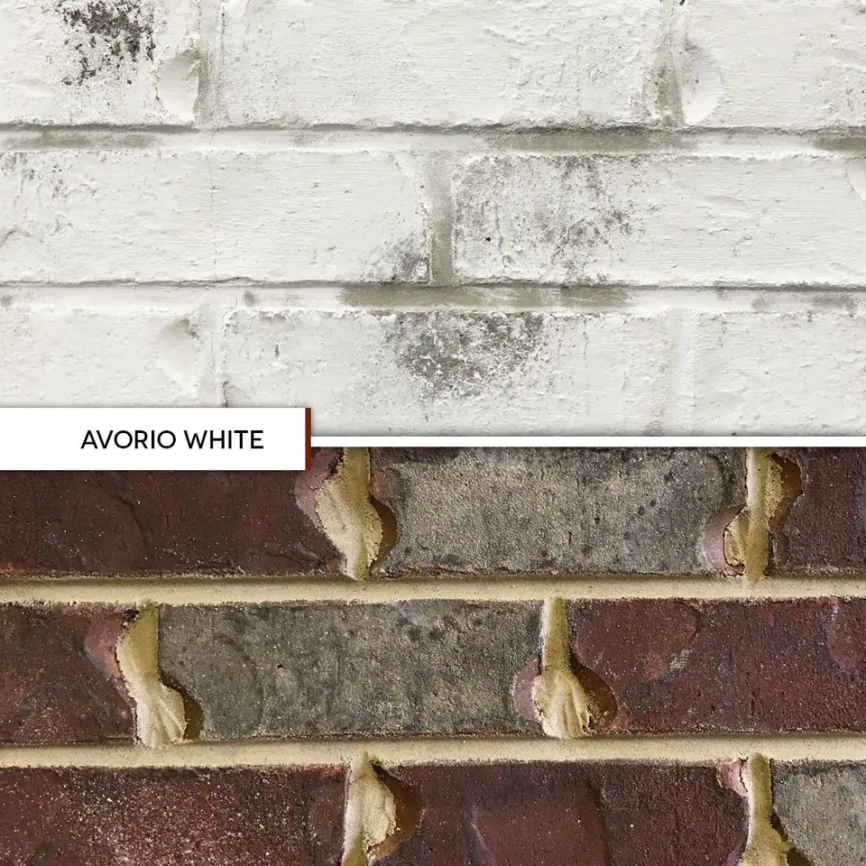 0.67 Gal. Avorio White Limewash Interior/Exterior Paint | eBay