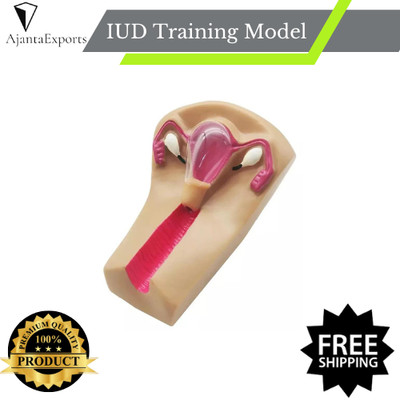 IUD Training Model Skin Color | eBay