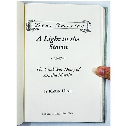 A Light in the Storm: The Civil War Diary of Amelia Martin: Dear ...