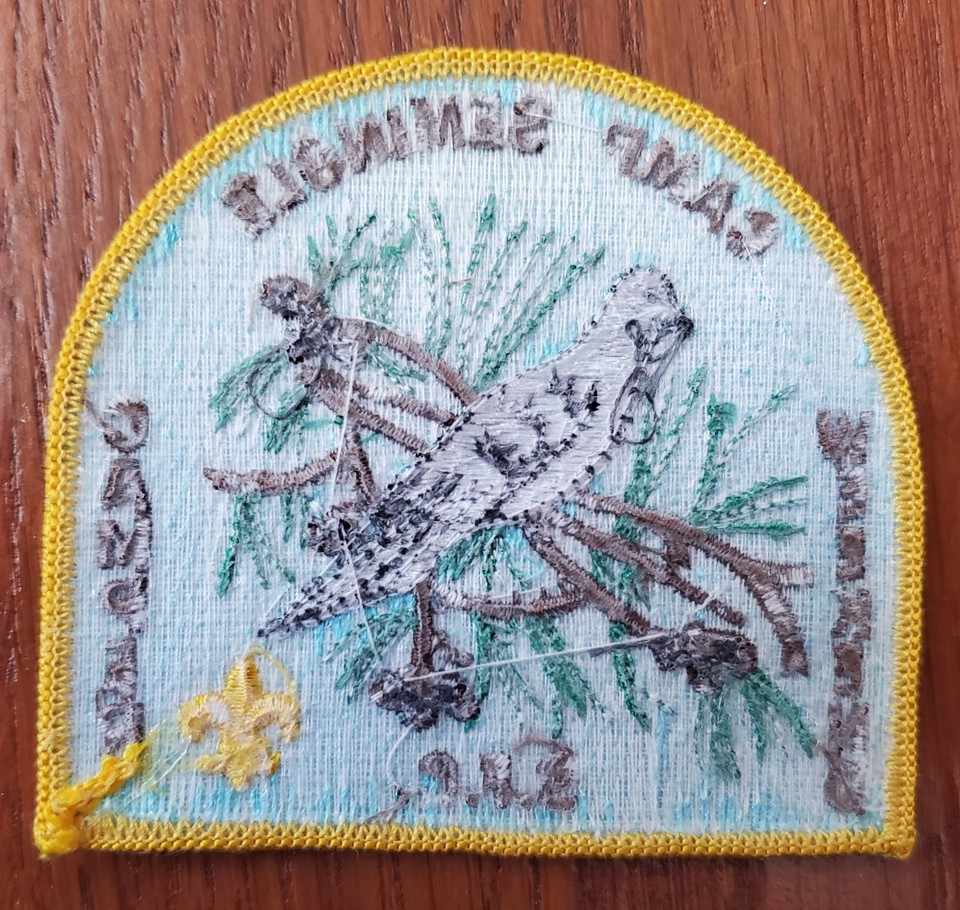 BOY SCOUTS OF AMERICA BSA CAMP SEMINOLE SFC PATCH | eBay