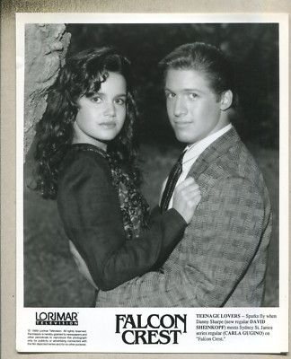 David Sheinkopf, Carla Gugino - ' Falcon Crest Press Photo P2G | eBay