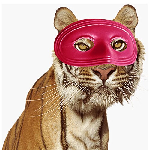 CHAP - Ham - CD - **Mint Condition** 666017084442| eBay