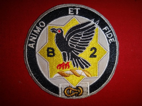 Vietnam War Patch US 1st Air Cavalry Regiment ANIMO ET FIDE Blackhawks ...