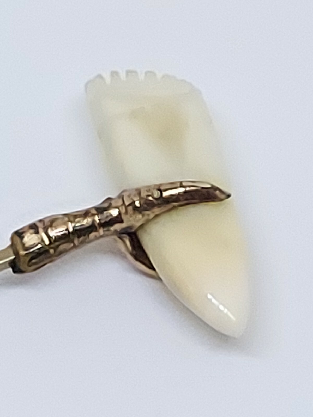 Antique Victorian Eagle Claw Stick Pin Gold Tone Carved Tooth | eBay