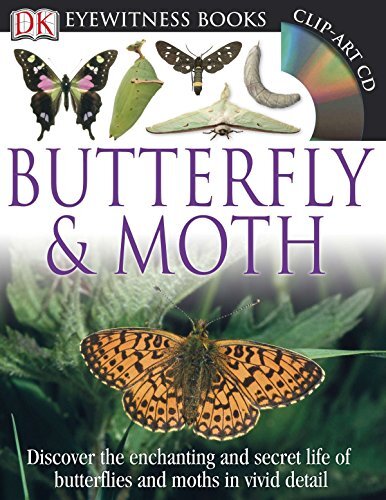 DK Eyewitness Books: Butterfly and Moth : Discover the Enchanting and ...