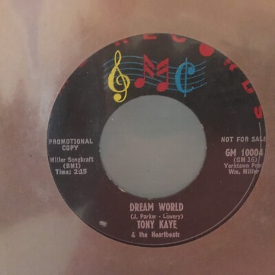 TONY KAYE: Hey, Hey, Little Orphan Annie/Dream World 45 RPM Vinyl Promo ...