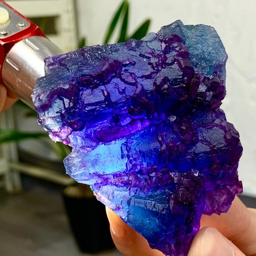 250G Rare transparent blue purple cubic fluorite mineral crystal sample ...