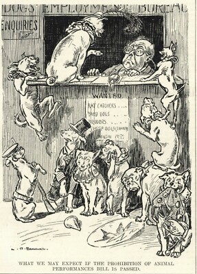 VINTAGE 1922 PUNCH CARTOON - PROHIBITION OF TRAINED ANIMAL HUMOR - Dogs ...