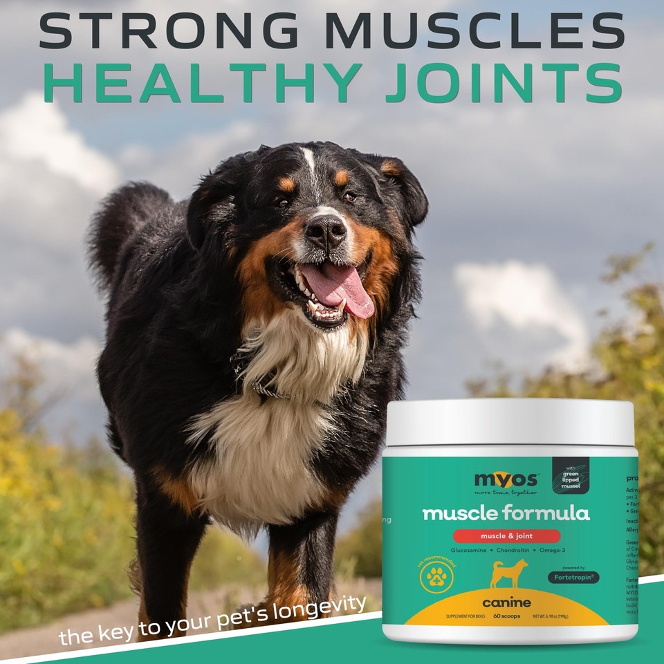 MYOS Muscle & Joint Powered by Fortetropin with Green Lipped Mussel 198 ...