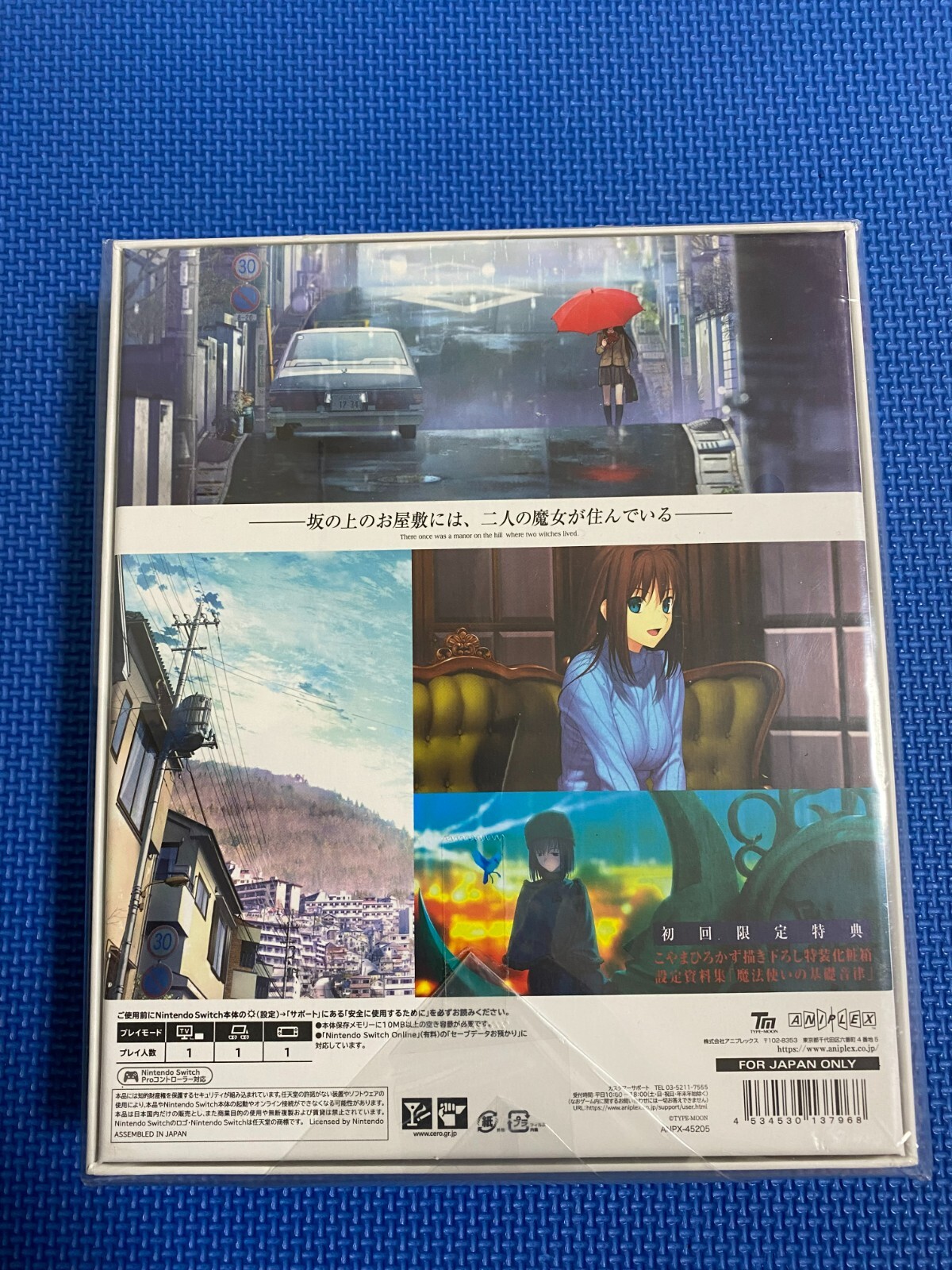Switch Wizard's Night First Mahou Tsukai No Yoru Press Limited Edition ...