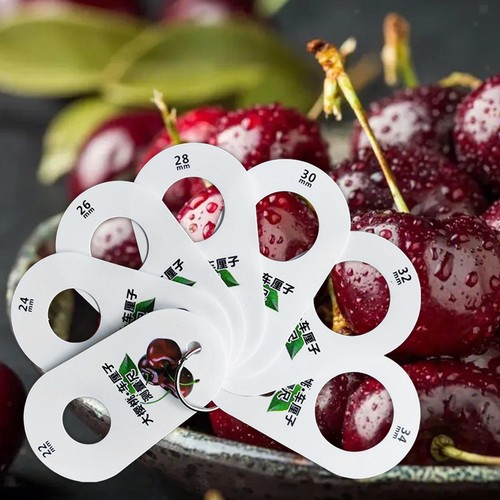 Cherry Measuring Ruler Fruit Ruler 7 Holes Diameter Gauge Standard ...