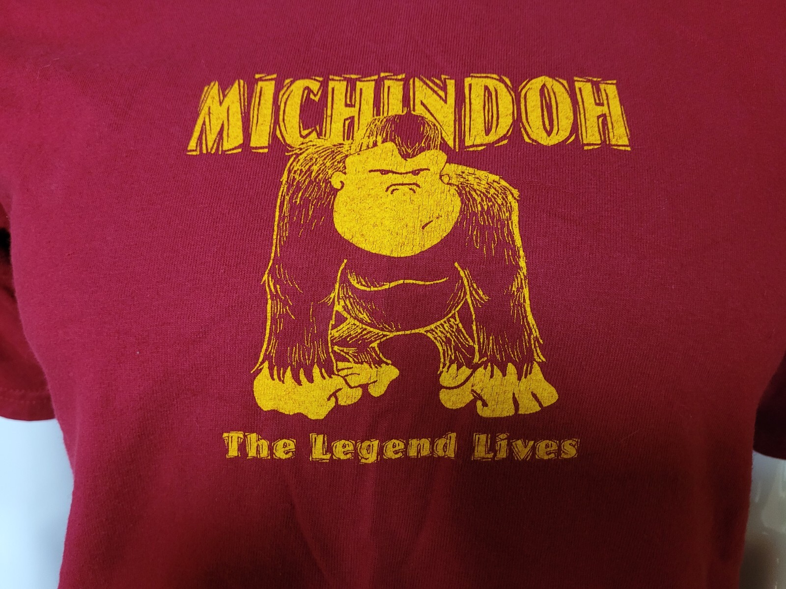 Camp Michindoh The Legend Lives Lake Hillsdale MI T S… - Gem