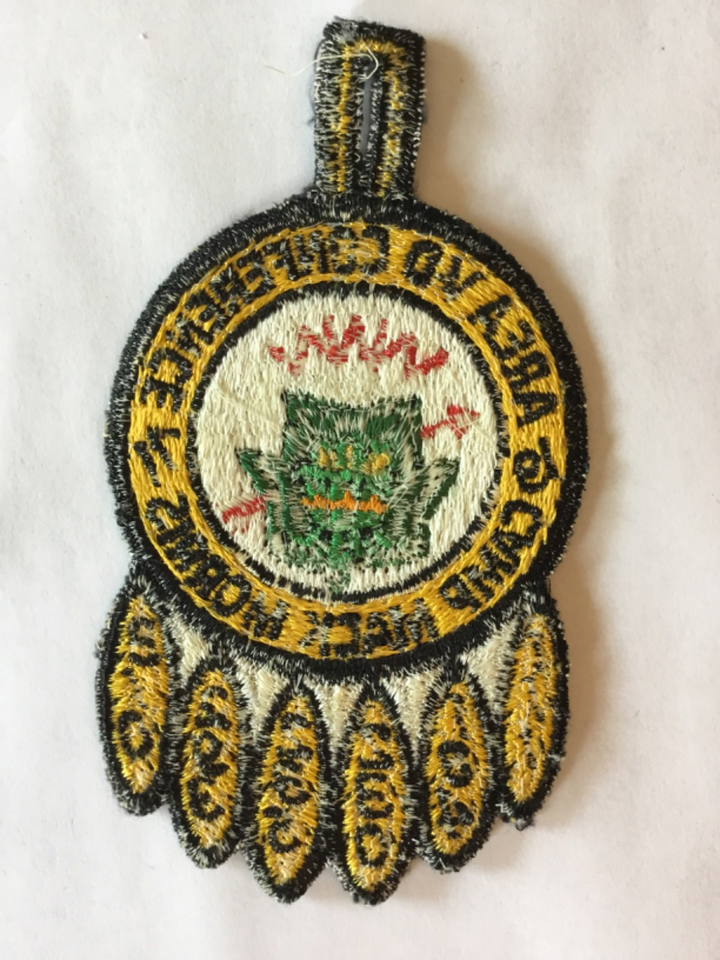 1971 Area VD Section Conference patch Ittawamba Lodge 235 | eBay