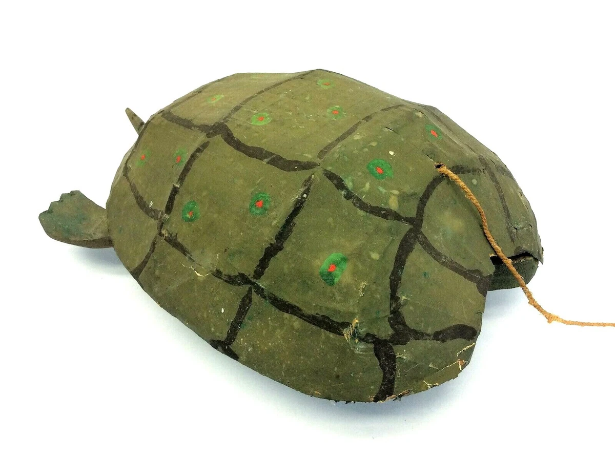Homemade Turtle Shell