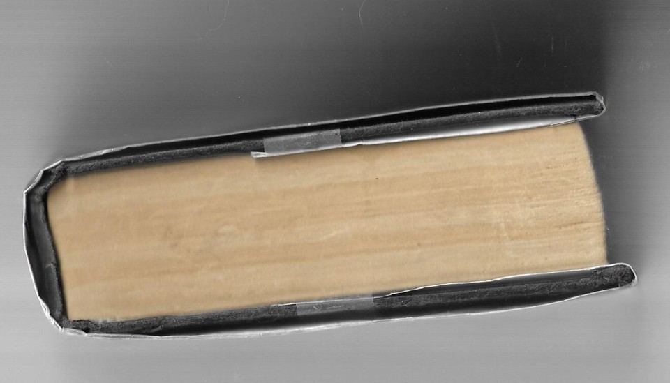 BLOOD PROMISE: A VAMPIRE ACADEMY, NOVEL BY RICHELLE MEAD, 2009 ...