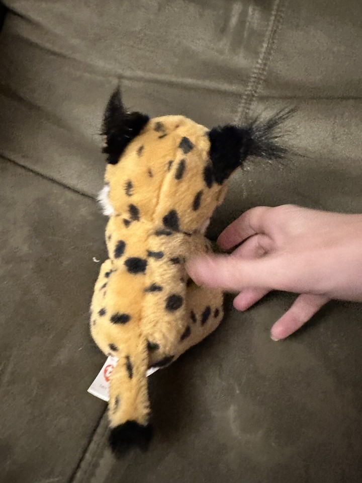 Ty Beanie Boo Larry the Lynx Stuffed Plush Toy Soft Stuffed Animal | eBay