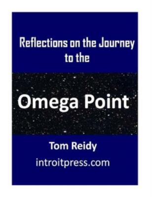 Reflections On The Journey To The Omega Point 9781547063024| eBay