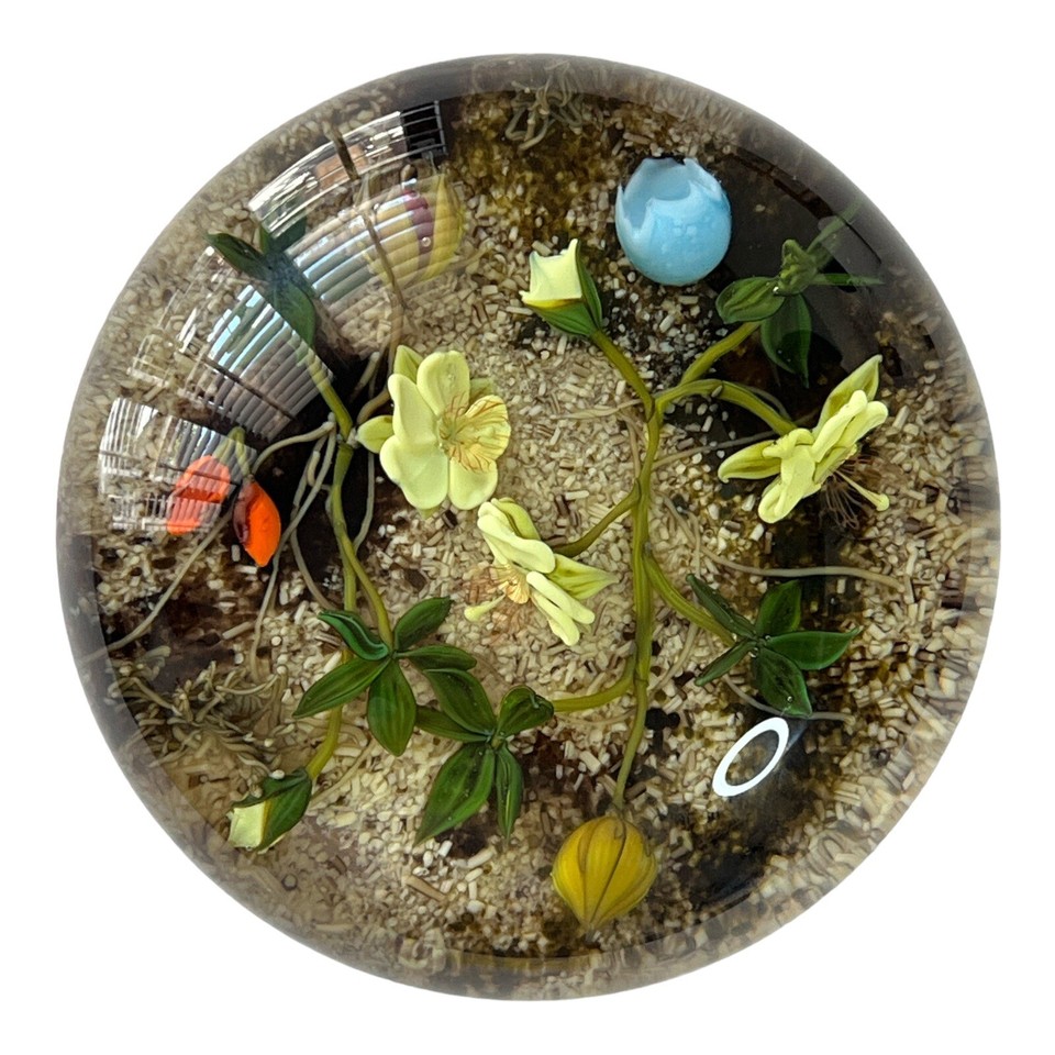 Vintage Paul Joseph Stankard Botanical Handblown Glass Paperweight A193 ...