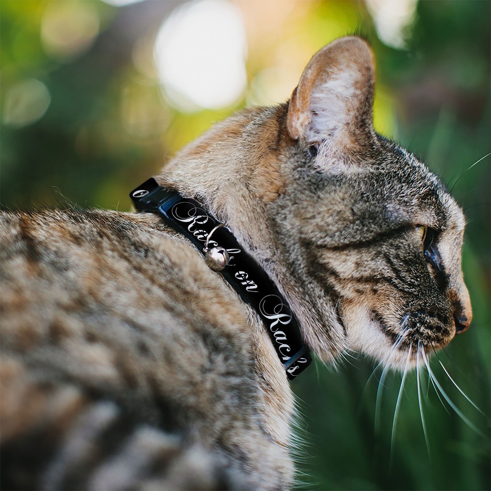 Cat Collar Breakaway with Bell RACKS ON RACKS Black/White NARROW Fits 8 ...