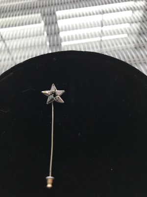 Vintage Star Shaped Mother of Pearl Hat Pin. | eBay