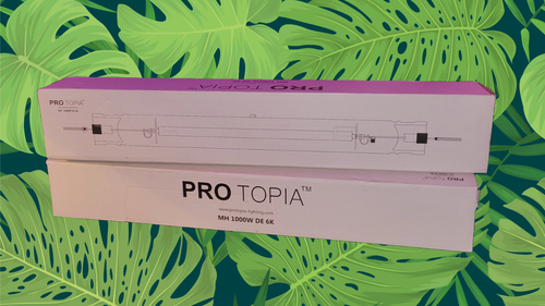 Protopia 1000W Metal Halide Double Ended 6k Grow Bulbs | eBay