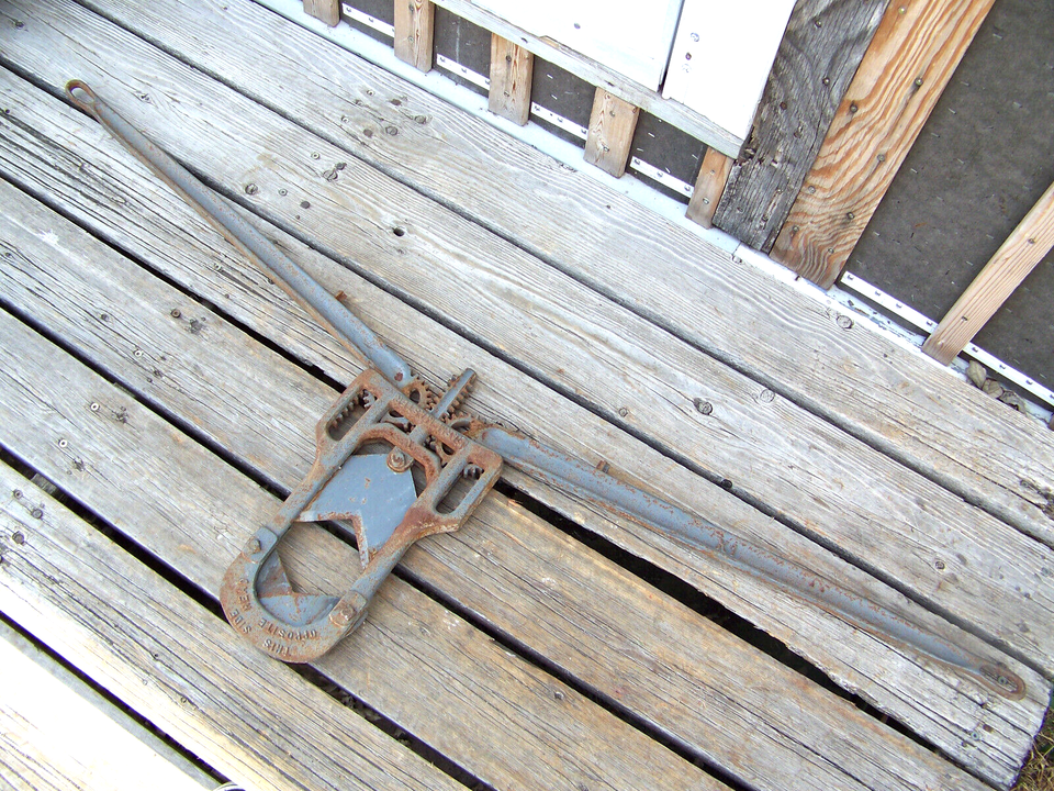 Vintage Dehorning Clipper Bull Horn Cutter Cattle Dehorner cast iron ...