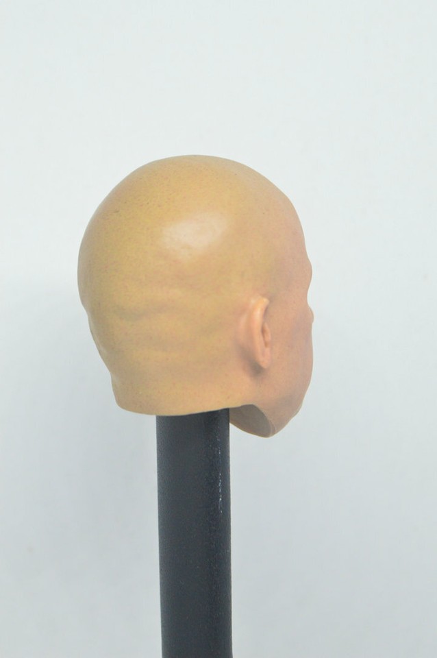 Custom 1/6 Vin Diesel Head Sculpt for 12'' Hot Toys Phicen COO Male ...