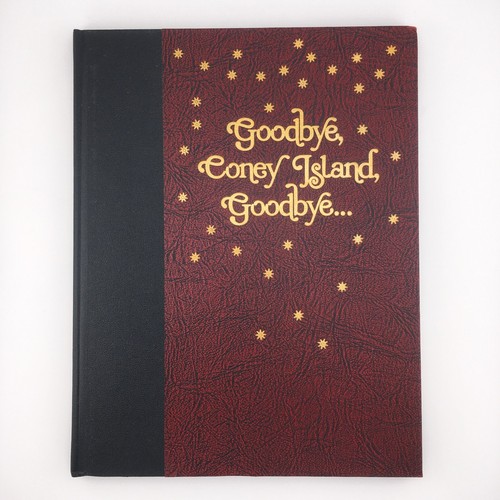 Goodbye Coney Island Goodbye By Paul Ilyinsky Prentice Hall Limited ...