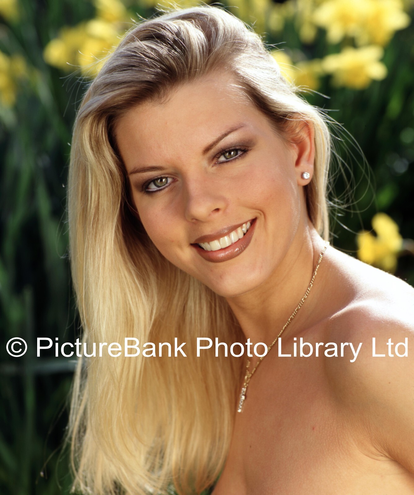 Danni Wheeler A4 Print *Page 3* Flower Background | eBay