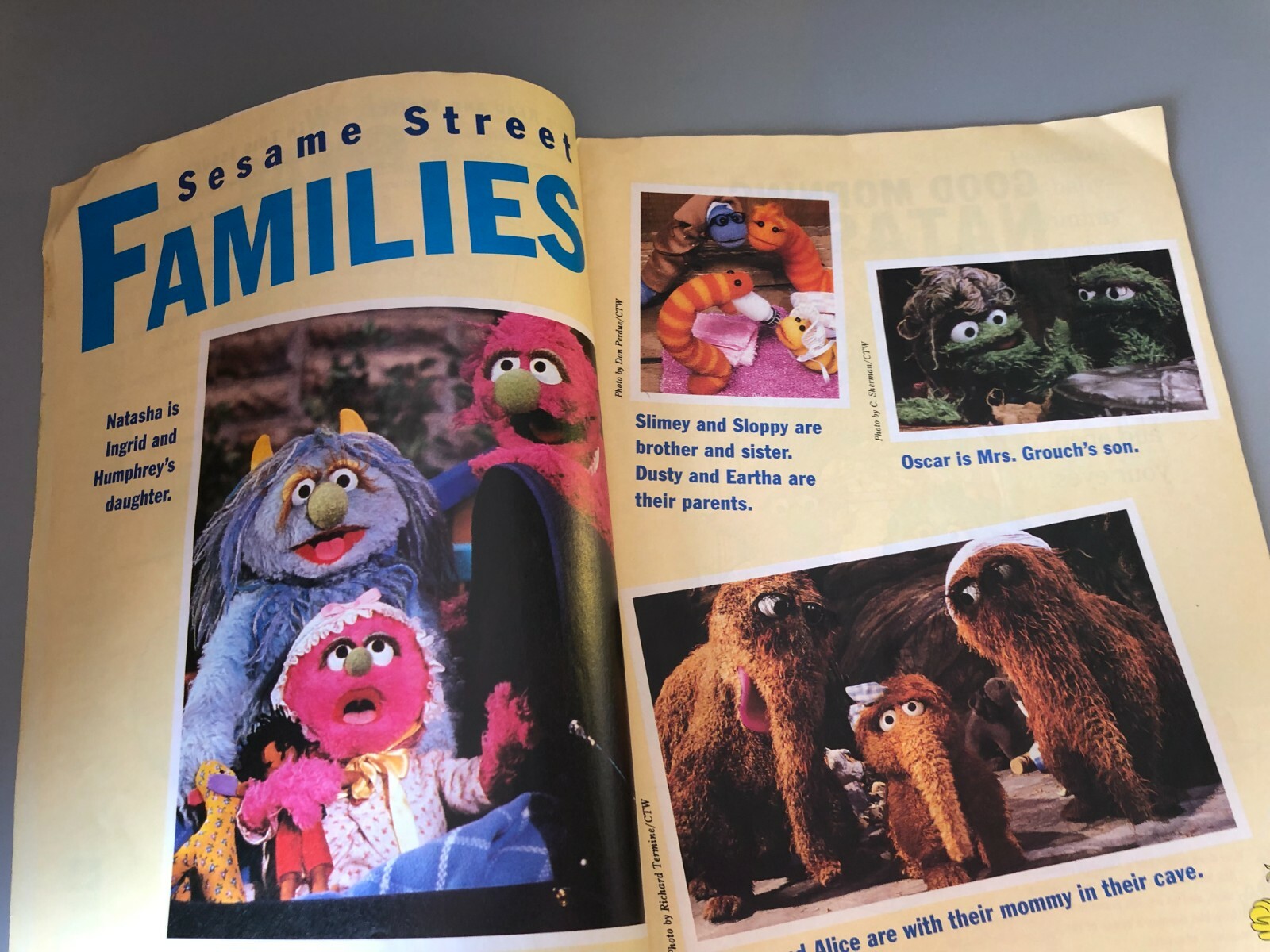 Ingrid Sesame Street