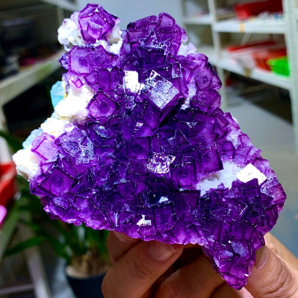 1.16LB Natural purple green cubic fluorite mineral crystal sample/China ...