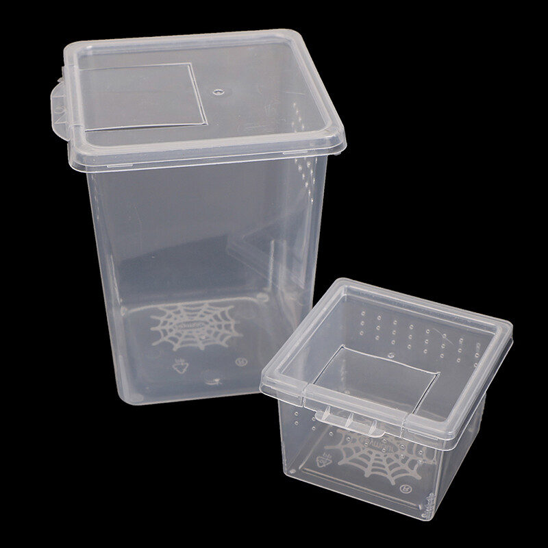 Plastic Insect Spider Habitat Feeding Box Case Container Tank Transport ...