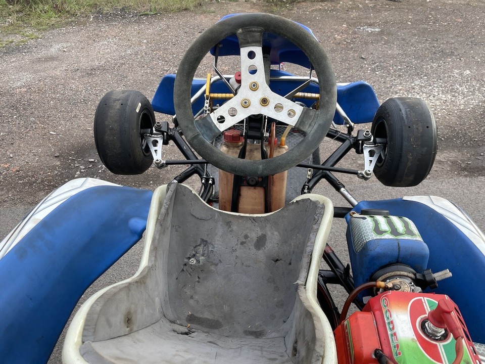 Zip Kart, Petrol Zip Go Kart | eBay UK