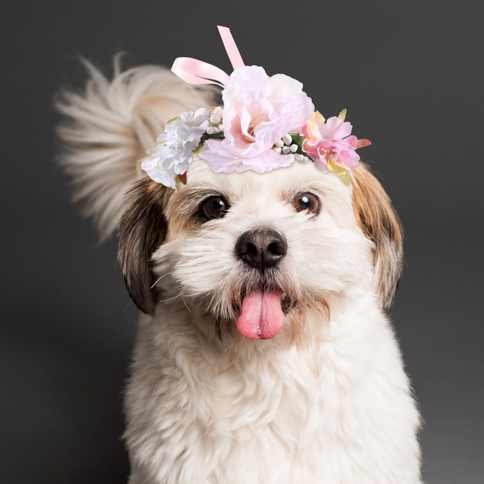 Floral Wreath Headband Dog Collar with Flower Attached Pet Decorative ...