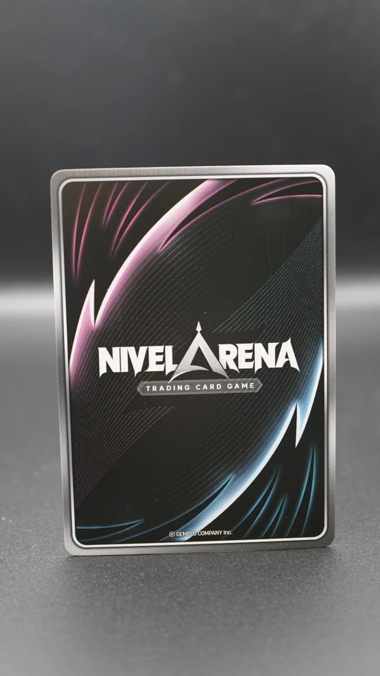 Nivel Arena Privaty Unkind Maid SBR ST05-011 Prismatic Sign Holo Korean ...